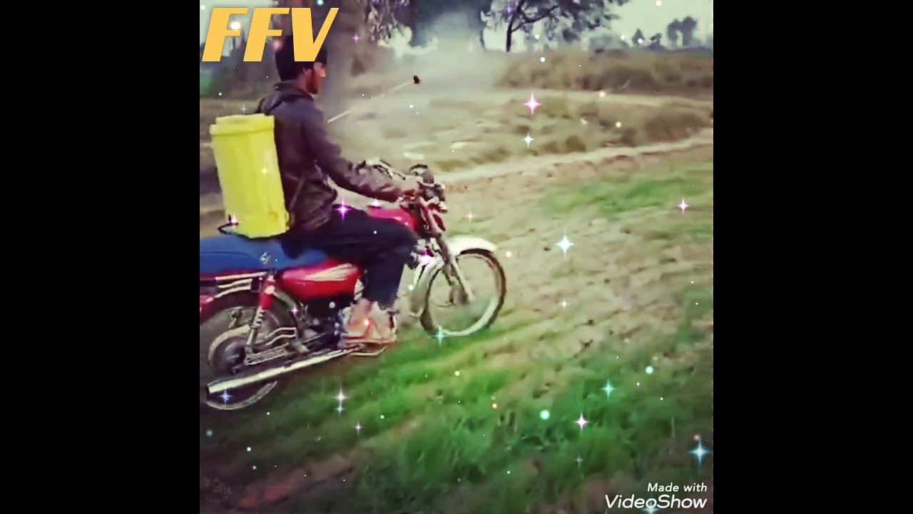 Facebook Funny Video - YouTube