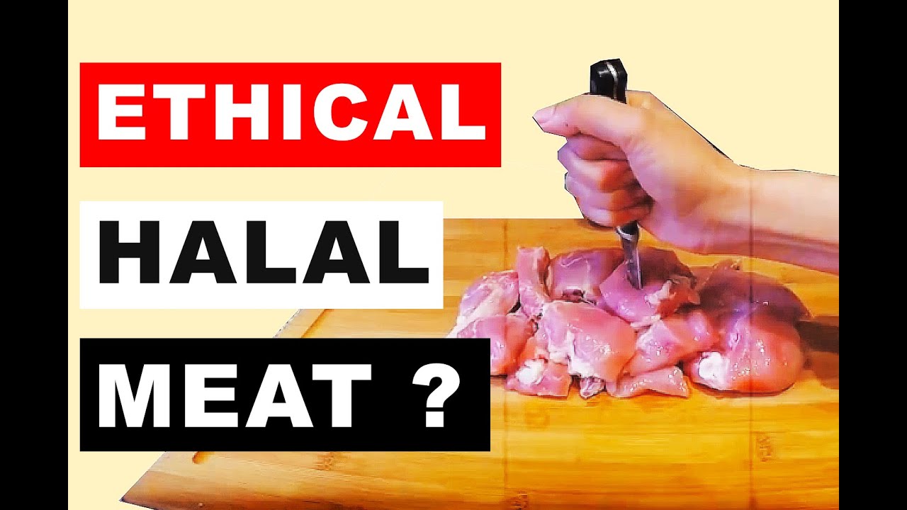 Ethically farmed Organic Halal meat VS Factory Farming | Willowbrook ...