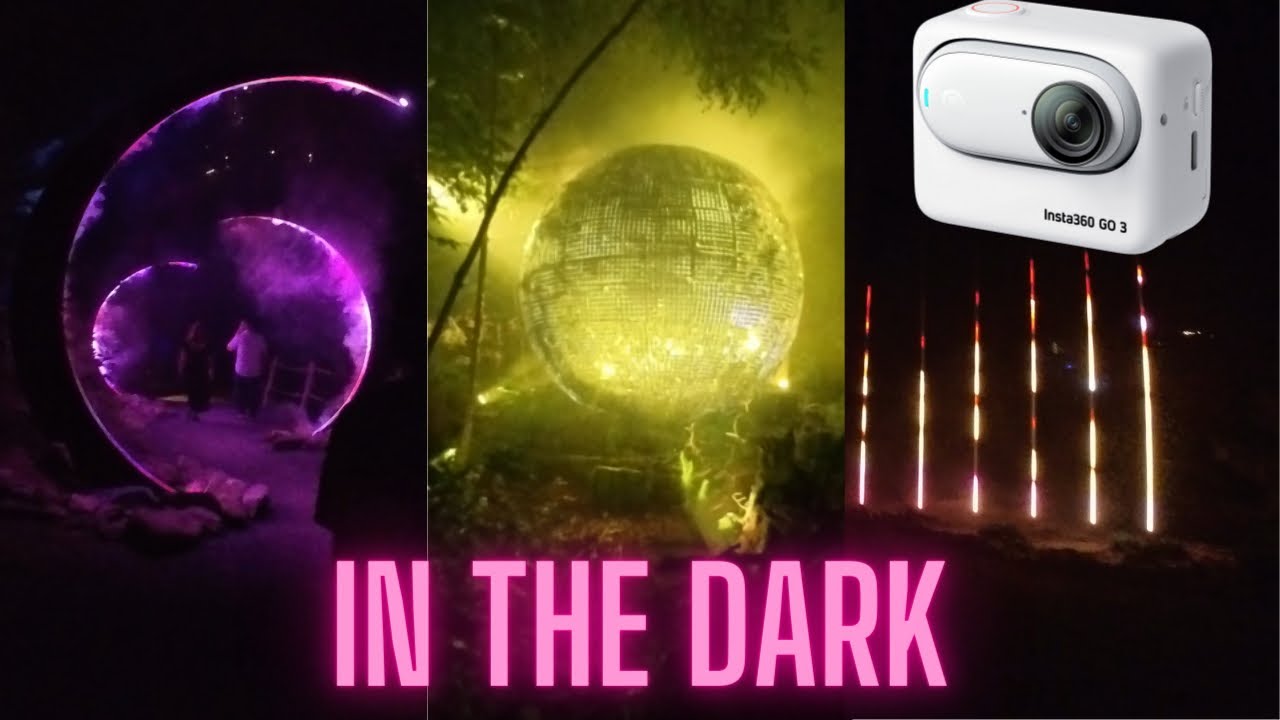 Ultimate Insta360 Go 3 Low Light Test - YouTube