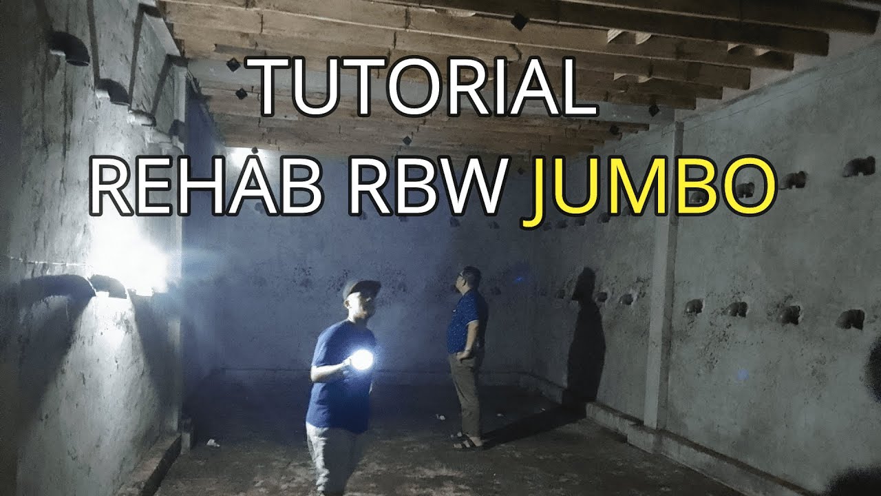 RBW JUMBO Belum Tentu Sukses ?? - YouTube