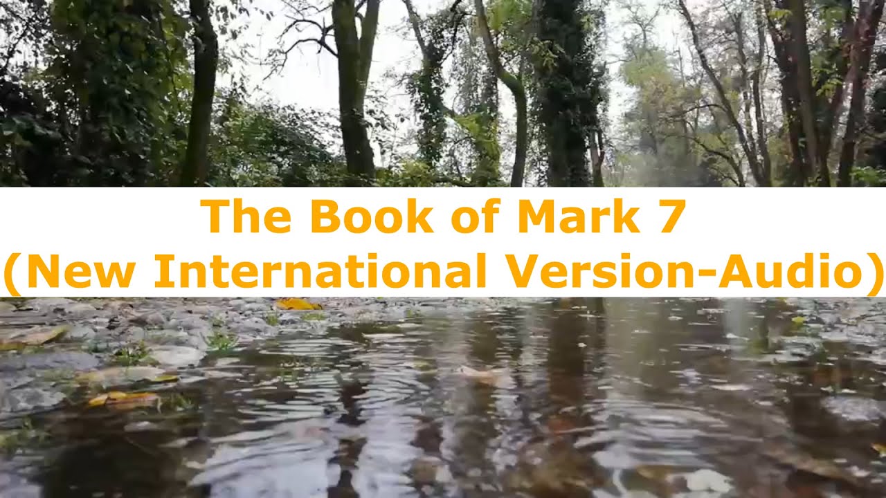 The Book of Mark 7 (New International Version-Audio) - Bible Learning ...