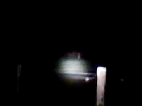 The fox i chased for about 100metres.3gp