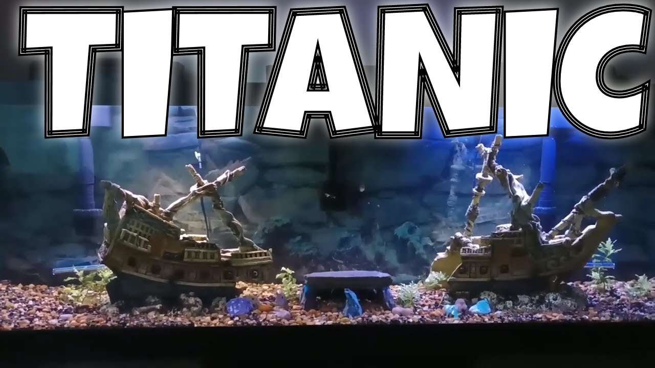 The Titanic Wreck Aquarium: An Unforgettable Underwater Experience ...
