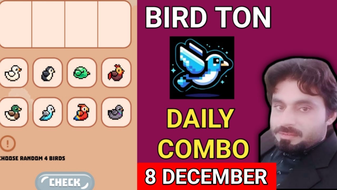 BIRD TON DAILY COMBO 8 DECEMBER | BIRD DAILY COMBO TODAY | BIRD TON ...
