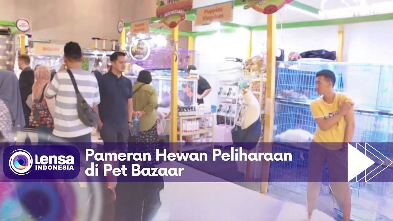 Pameran Hewan Peliharaan di Pet Bazaar - YouTube