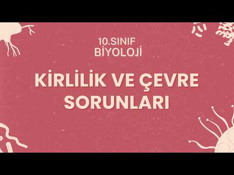 10. Sınıf Biyoloji – Kirlilik ve Çevre Sorunları #2026