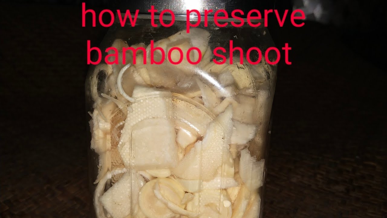 Homemade bambooshoot #how to preserve bambooshoot at home#fermenting ...