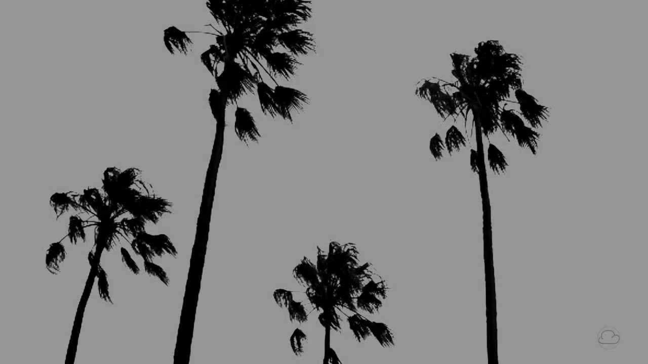 Palms, waving - YouTube