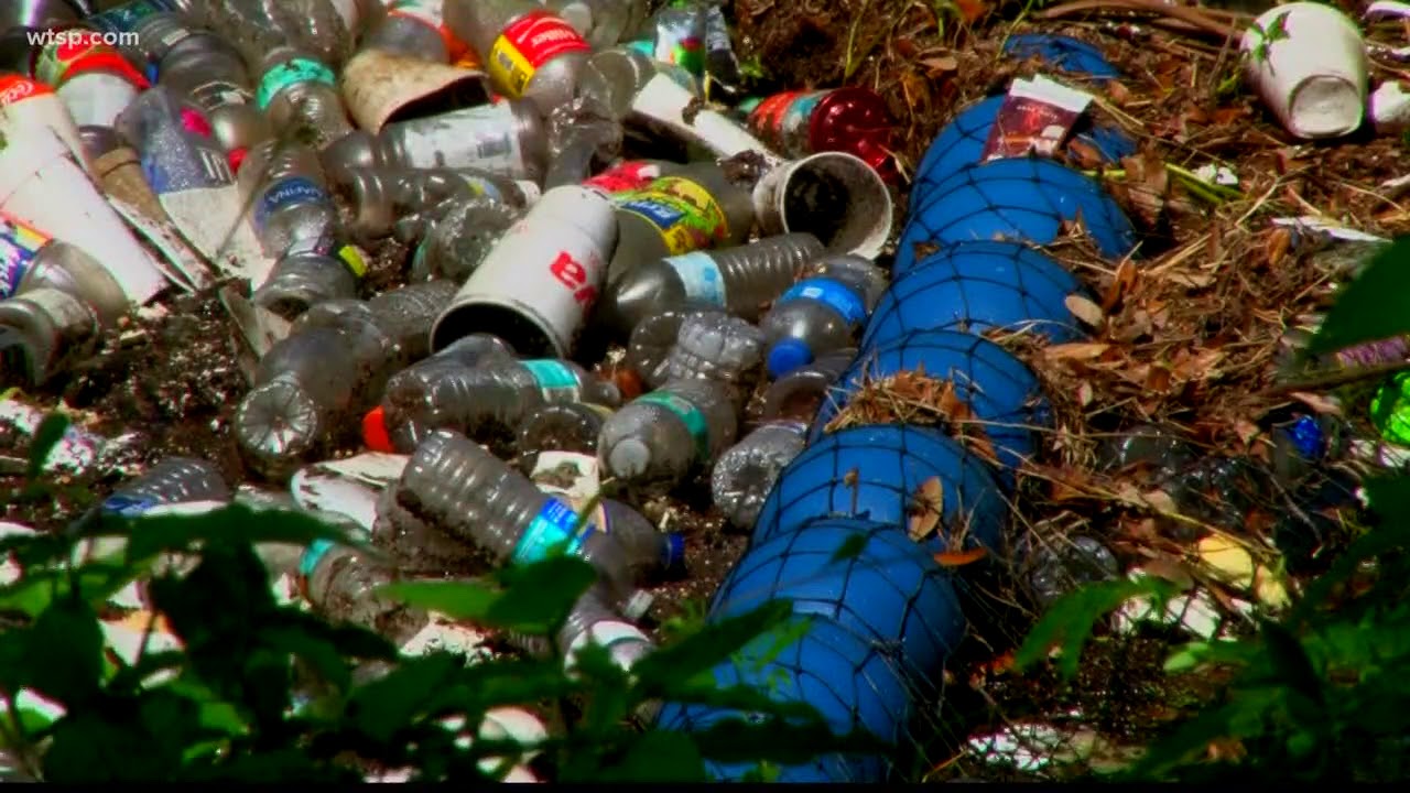 'Water goats' are taking care of your trash - YouTube