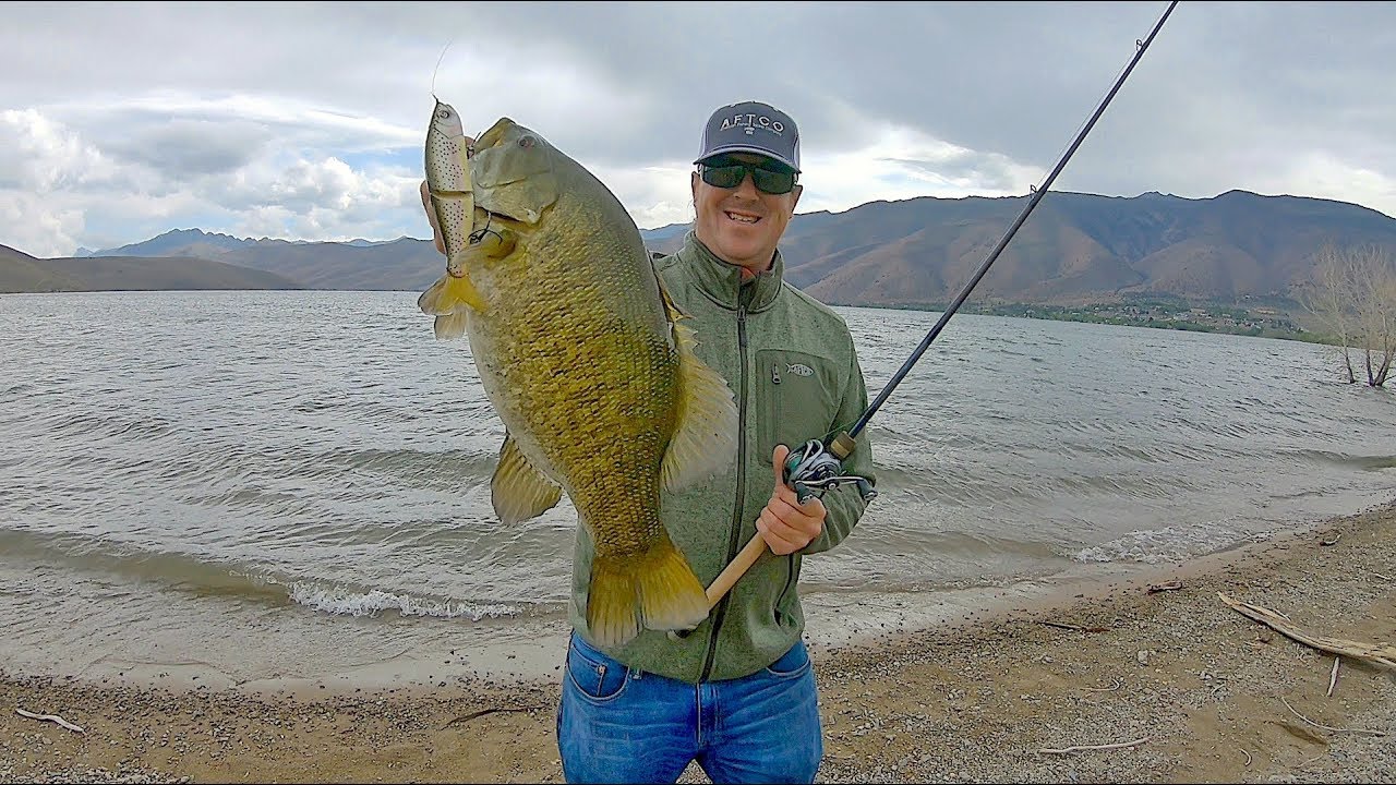 Windy Day Swimbait Fishing From Shore! - YouTube