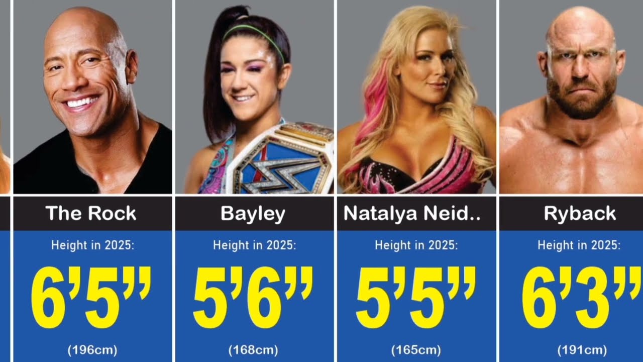 WWE Superstars Height Comparison 2025 | Real Heights From Shortest to ...