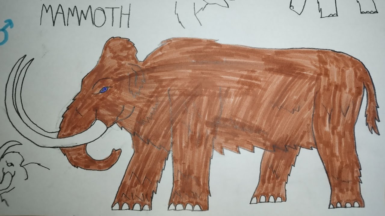 Sound Effects-Brown The Woolly Mammoth - YouTube
