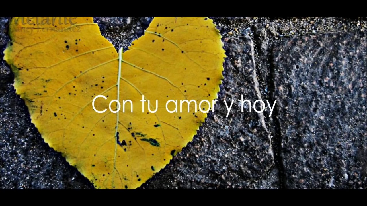 Love You Like A Love Song Spanish Version Kevin Karla And La Banda Lyric Video Selena Gomez