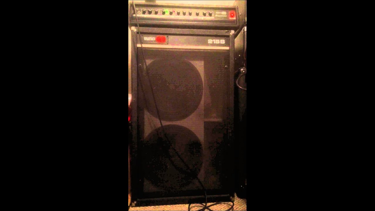 Sunn 2×15 Bass Cabinet | Cabinets Matttroy