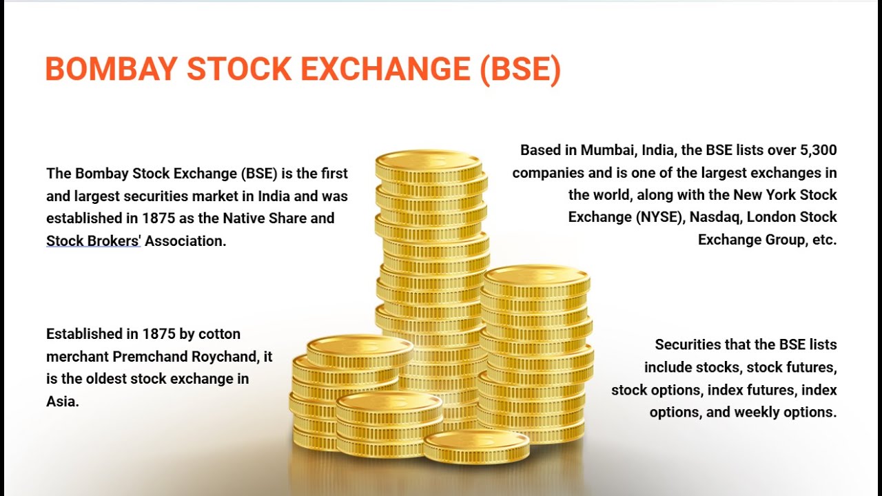 Stock Exchange Project | History | Functions | BSE | NSE | Class 12 ...