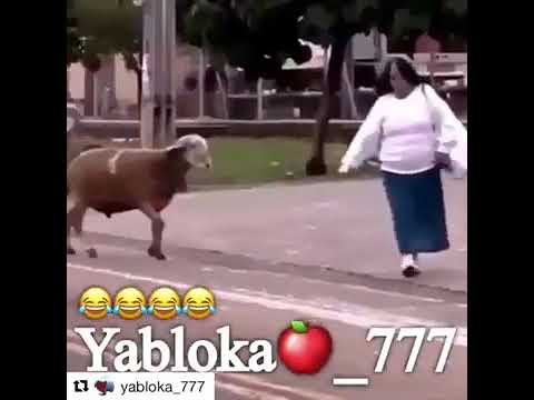 Cox gülməli  və maraqlı video izle