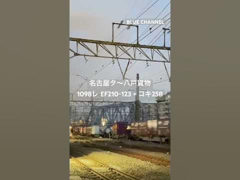 (貨物列車) 2023/05/25 1098レ EF210-123 + コキ25B (名古屋タ〜八戸貨物) #Shorts - YouTube