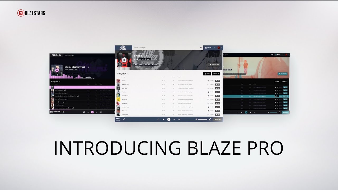 Introducing The Blaze Pro Instant Beat Store - Embed Anywhere + Keep ...