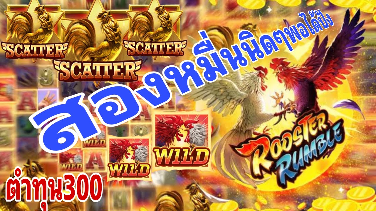 Siam66 Rooster Rumble พอได้ปัง สองหมื่นนิดๆ ตำทุน300 - YouTube