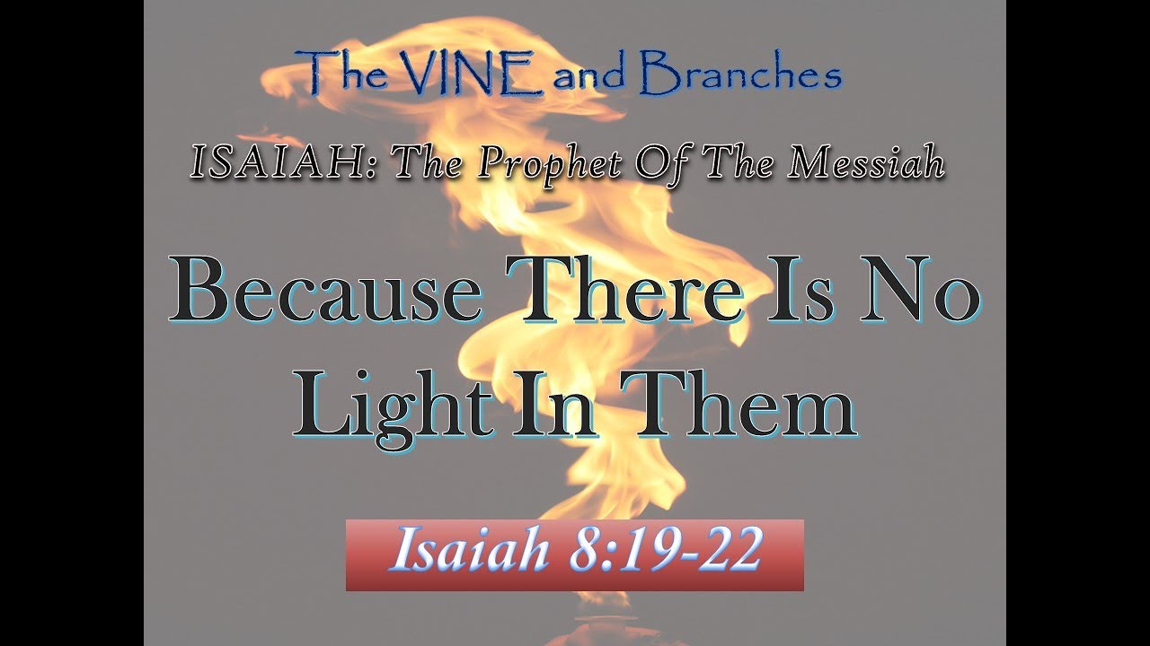 Because There Is No Light In Them_The VINE and Branches - YouTube