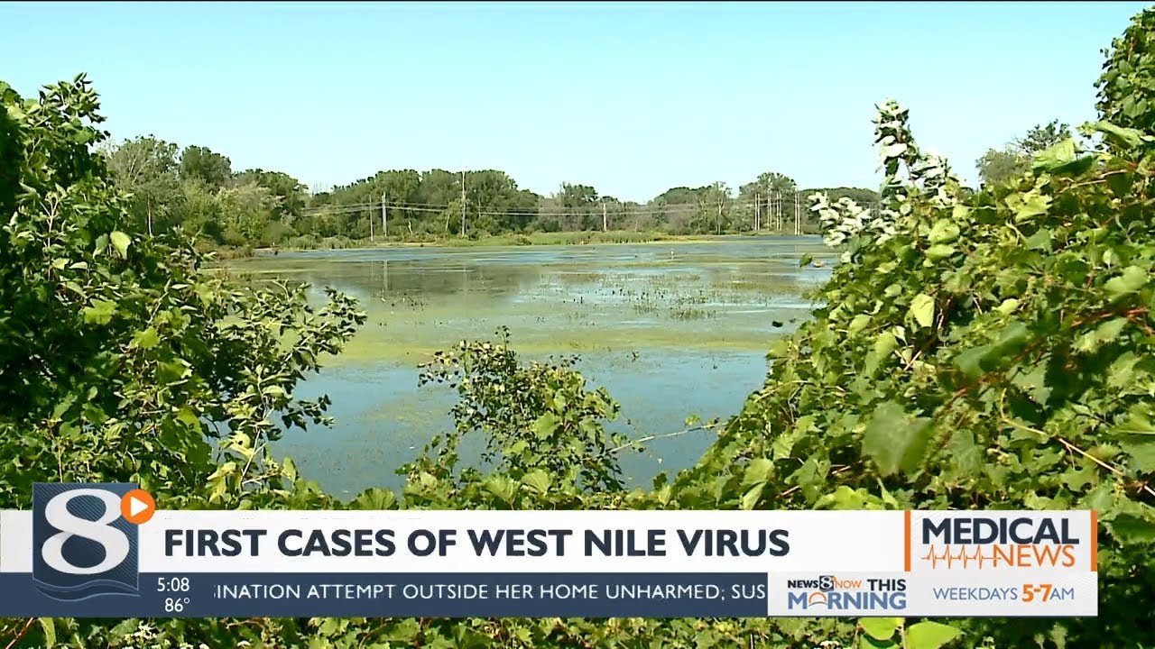 West Nile virus case found in Trempealeau County horse - YouTube