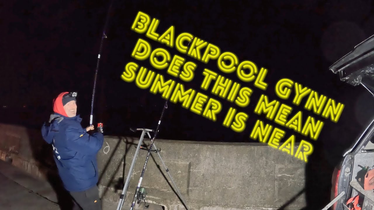 Blackpool Gynn wall , summer species are here , uk sea fishing - YouTube