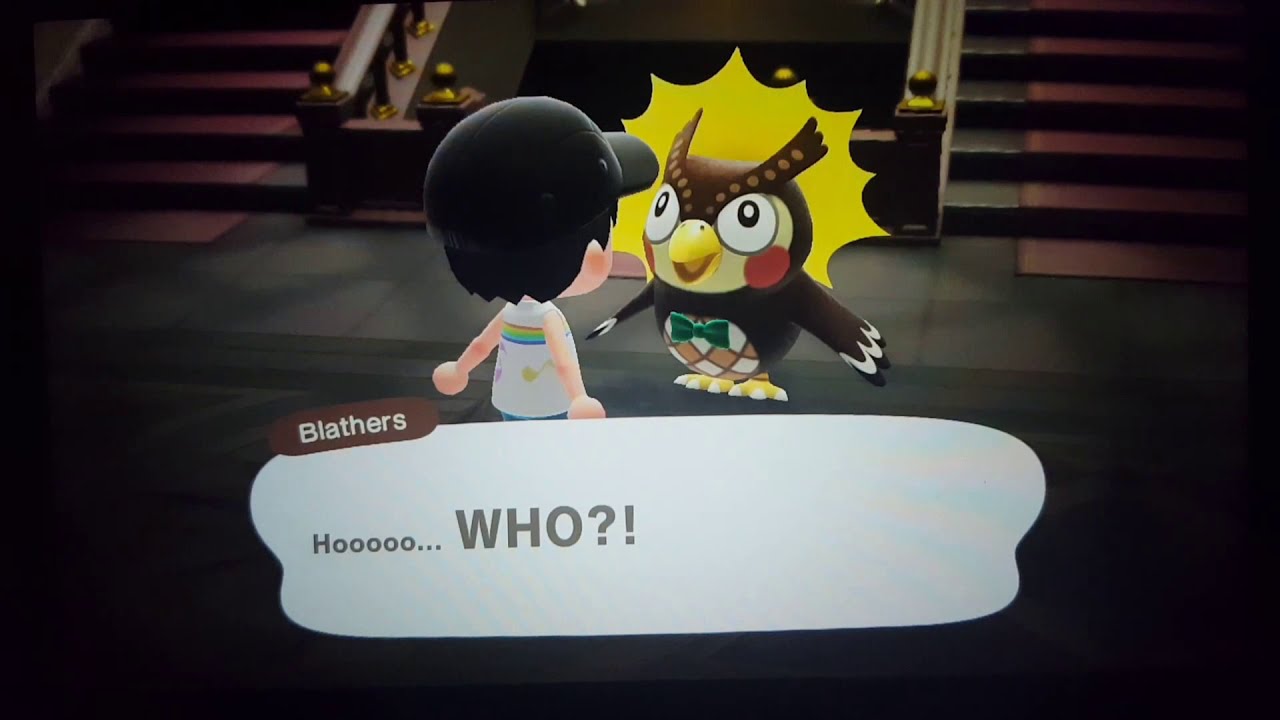 Animal Crossing Waking Blathers Up Making Him Scared - SquishyMain ...