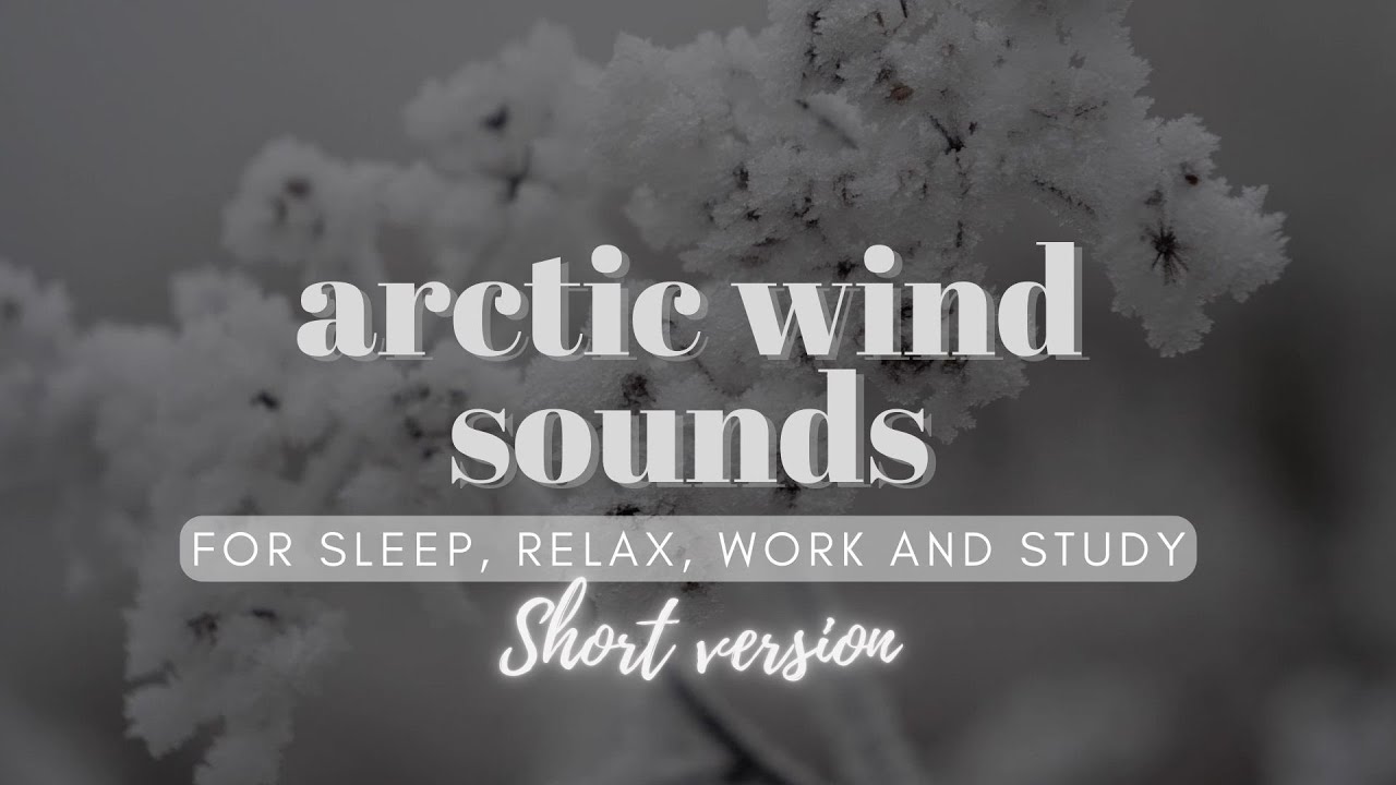 15 minutes arctic wind sounds. Howling winter wind sound for sleep ...