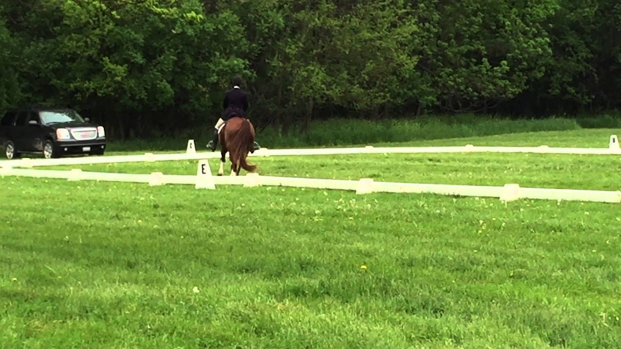 Caity and Bubba FRVPC Mini Dressage 2015 - YouTube