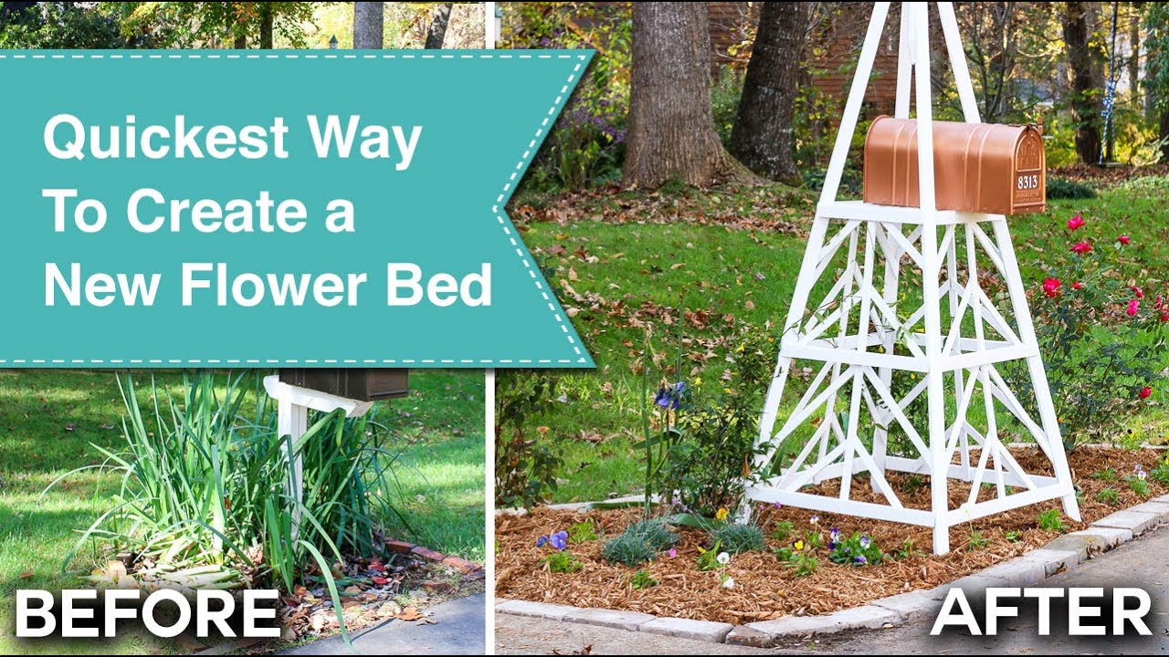 The Quickest Way to Create a Thriving New Flower Bed - YouTube