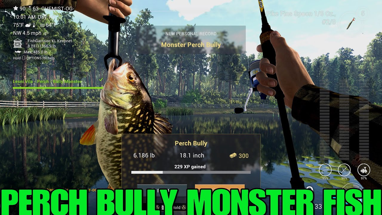 How To Get The Perch Bull Monster Fish Step By Step Guide - Fishing ...