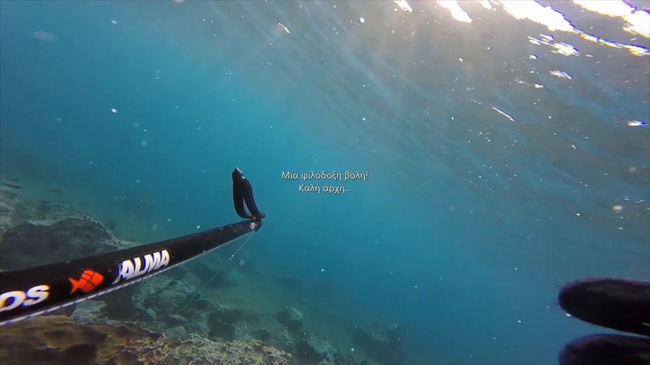 Spearfishing! Ψαροντούφεκο/Αυστηρά ρηχό/Κορινθιακός! Ευ ζήν! - YouTube