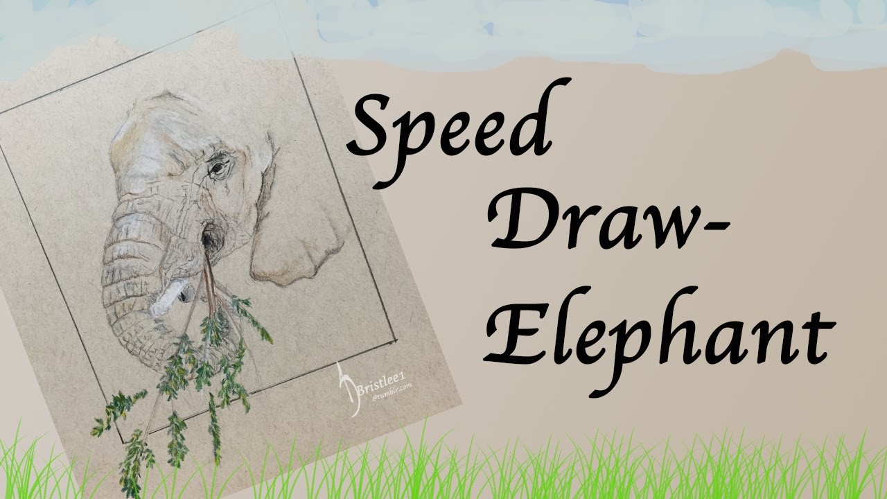 Speed Draw-Elephant - YouTube