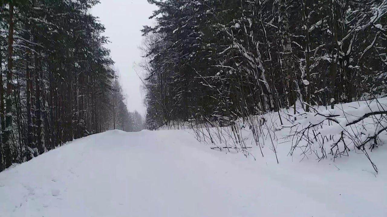 Helsinki forest snow walking - YouTube