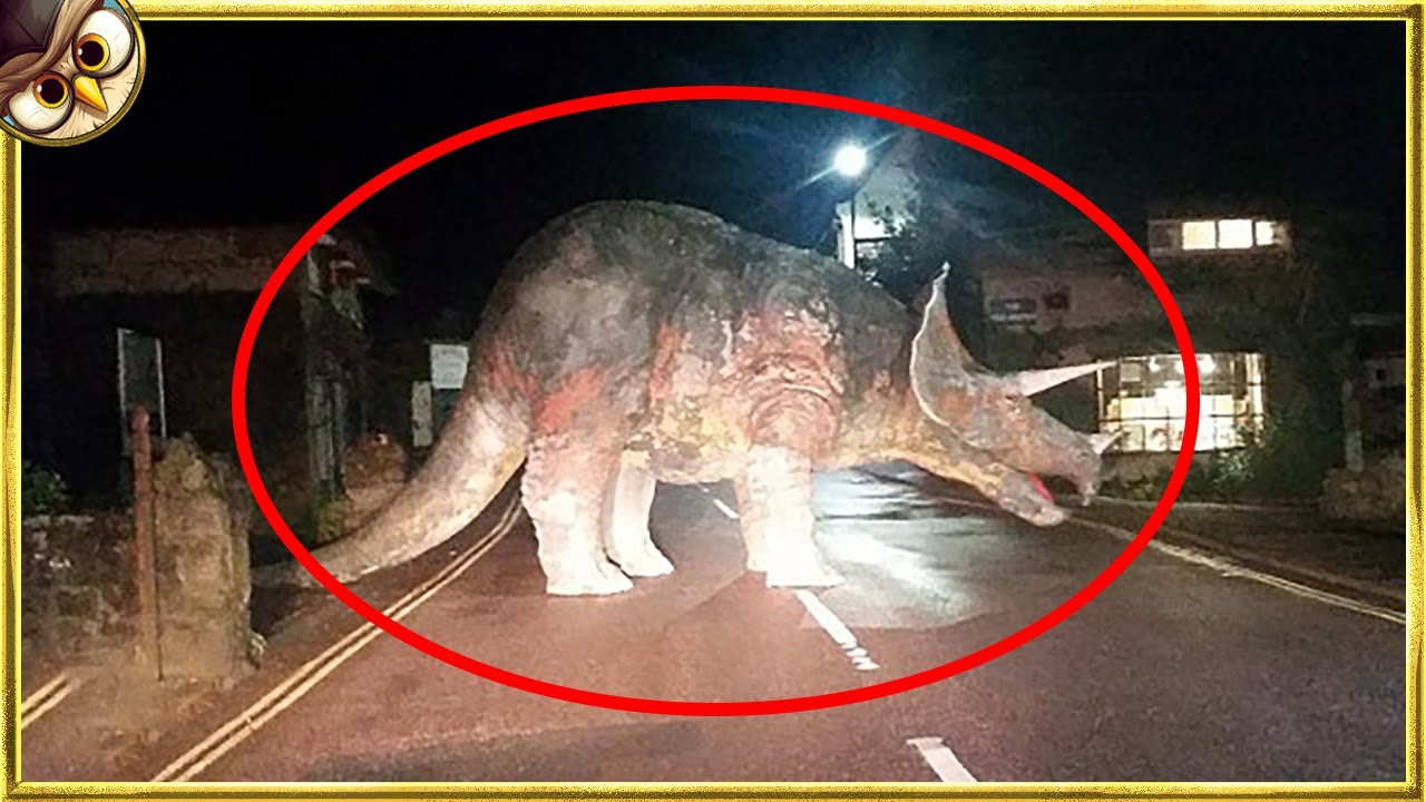 100 Extinct Animals That Are Still Alive - YouTube