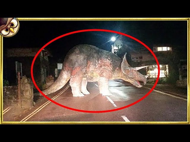 Real Life Images Of Extinct Animals 145,700+ Extinct Animals Stock