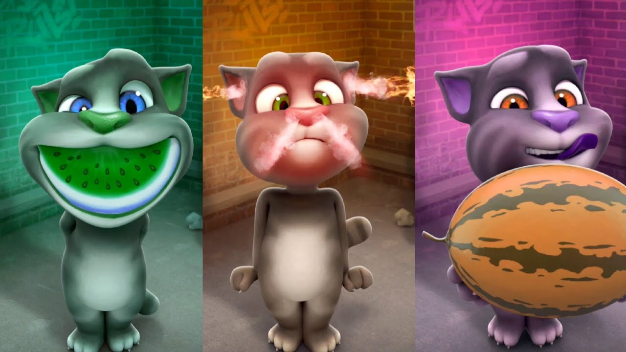 Talking Tom cat 🐈 | Talking Cat music so funny 😆 | Talking cat eat 🥦🍒🍟🥨 ...