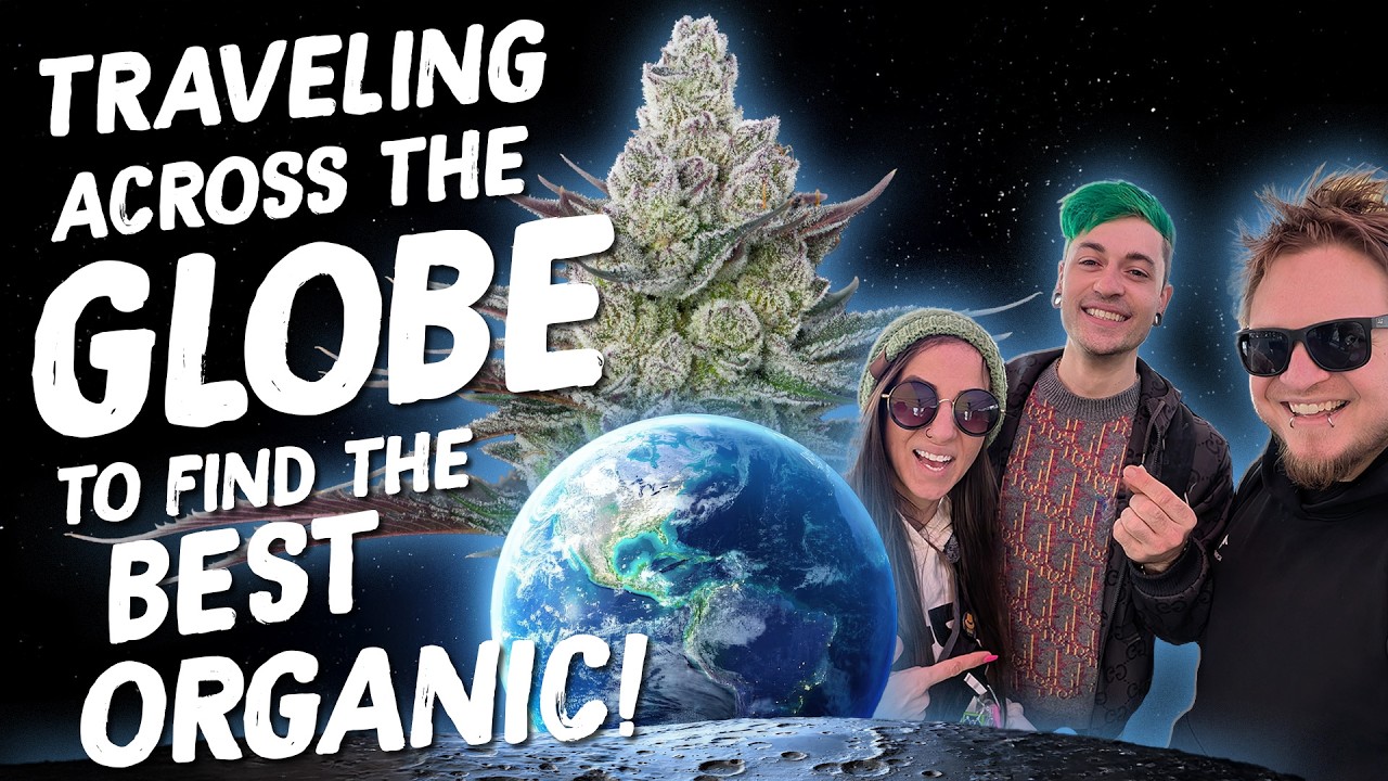 Traveling Around The WORLD To Find The BEST ORGANIC & GENETICS! - YouTube