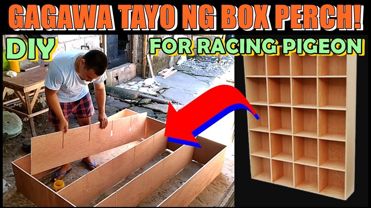 GAGAWA TAYO NG BOX PERCH PARA SA KALAPATI - YouTube