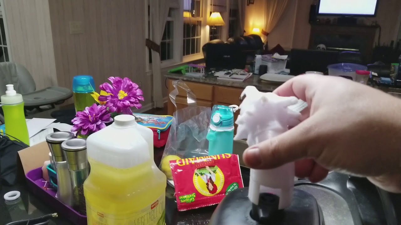 Steam Dragon Deluxe for Instant Pot IP-DUO, Initial Test - YouTube