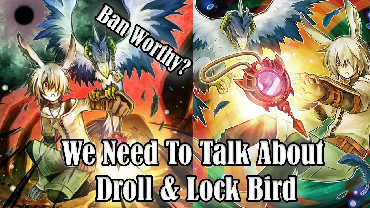 We Need to Talk About Droll & Lock Bird! - YouTube
