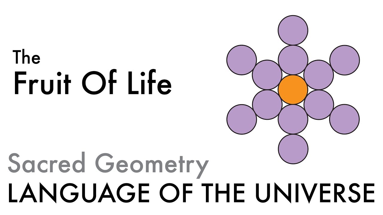 The Fruit Of Life - Sacred Geometry - YouTube