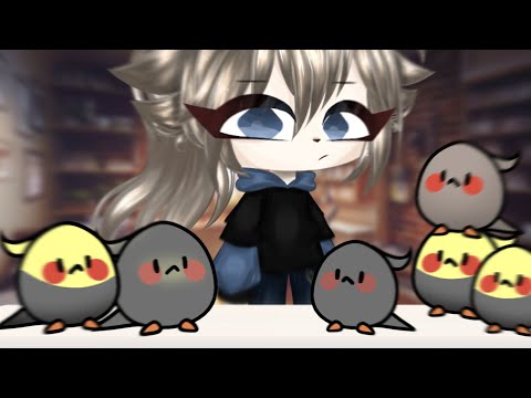Papağanlarımın değşik aile bağı nasıl oluştu |gacha life version|ORİGİNAL