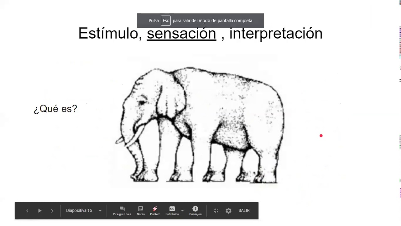 La experiencia sensible y la epistemología: Thomas Kuhn - YouTube