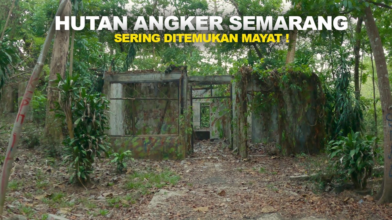 KEMBALI KE HUTAN ANGKER DI JAWA TENGAH ! - YouTube