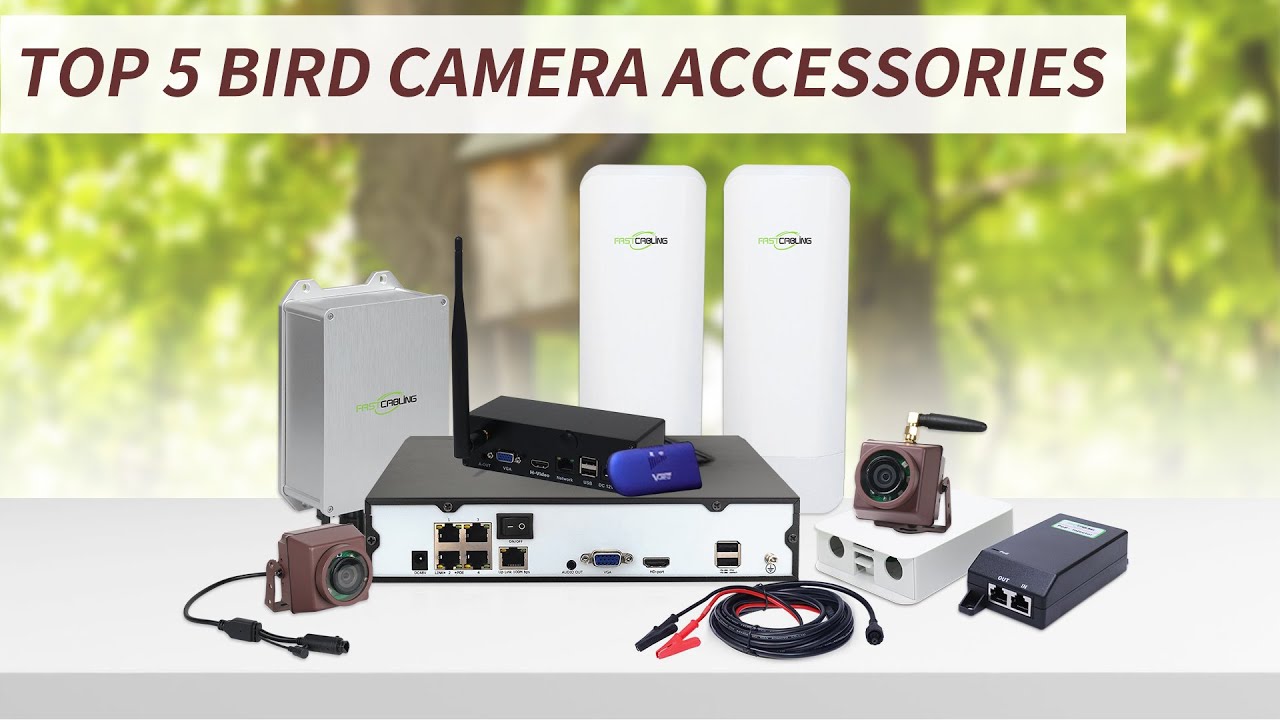 Top 5 Bird Box Camera Accessories You Didn’t Know You Needed - YouTube