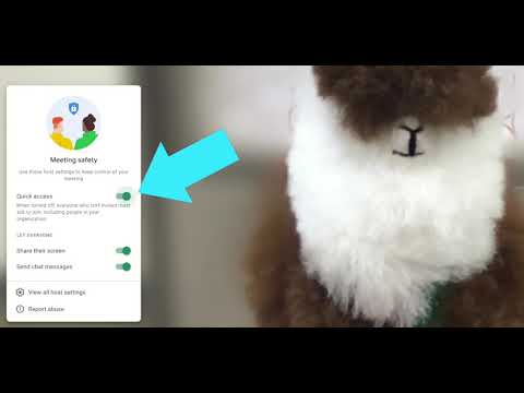 Google Meet Host Controls - YouTube