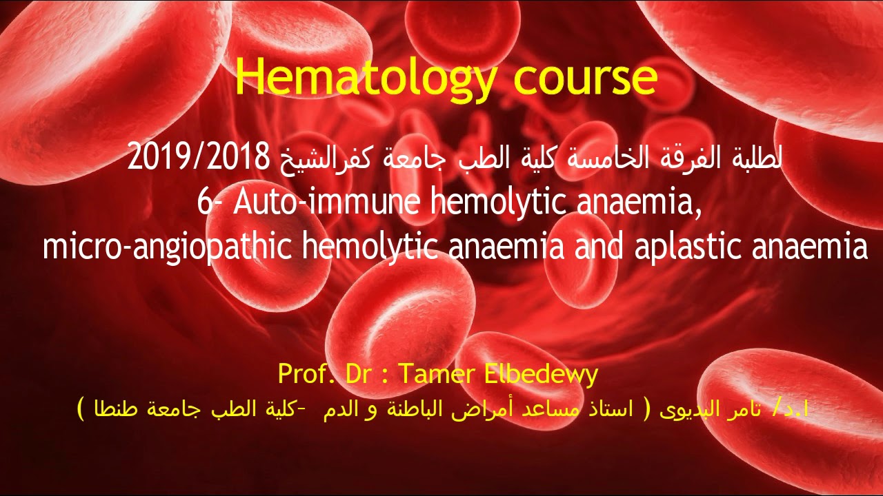 Hematology course 6 Auto immune hemolytic anaemia, MAHA and aplastic ...