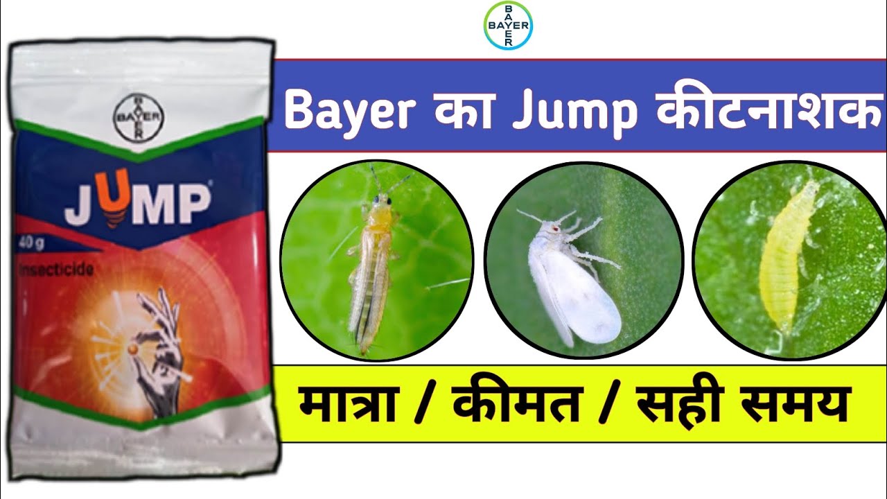 Bayer jump insecticide || Fipronil 80% wg || jump insecticide - YouTube