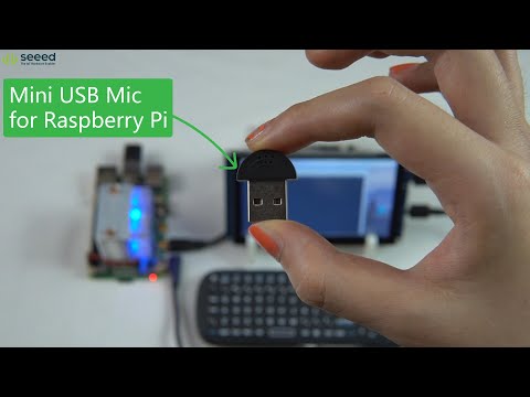 Recording with Mini USB microphone on the Raspberry pi 4